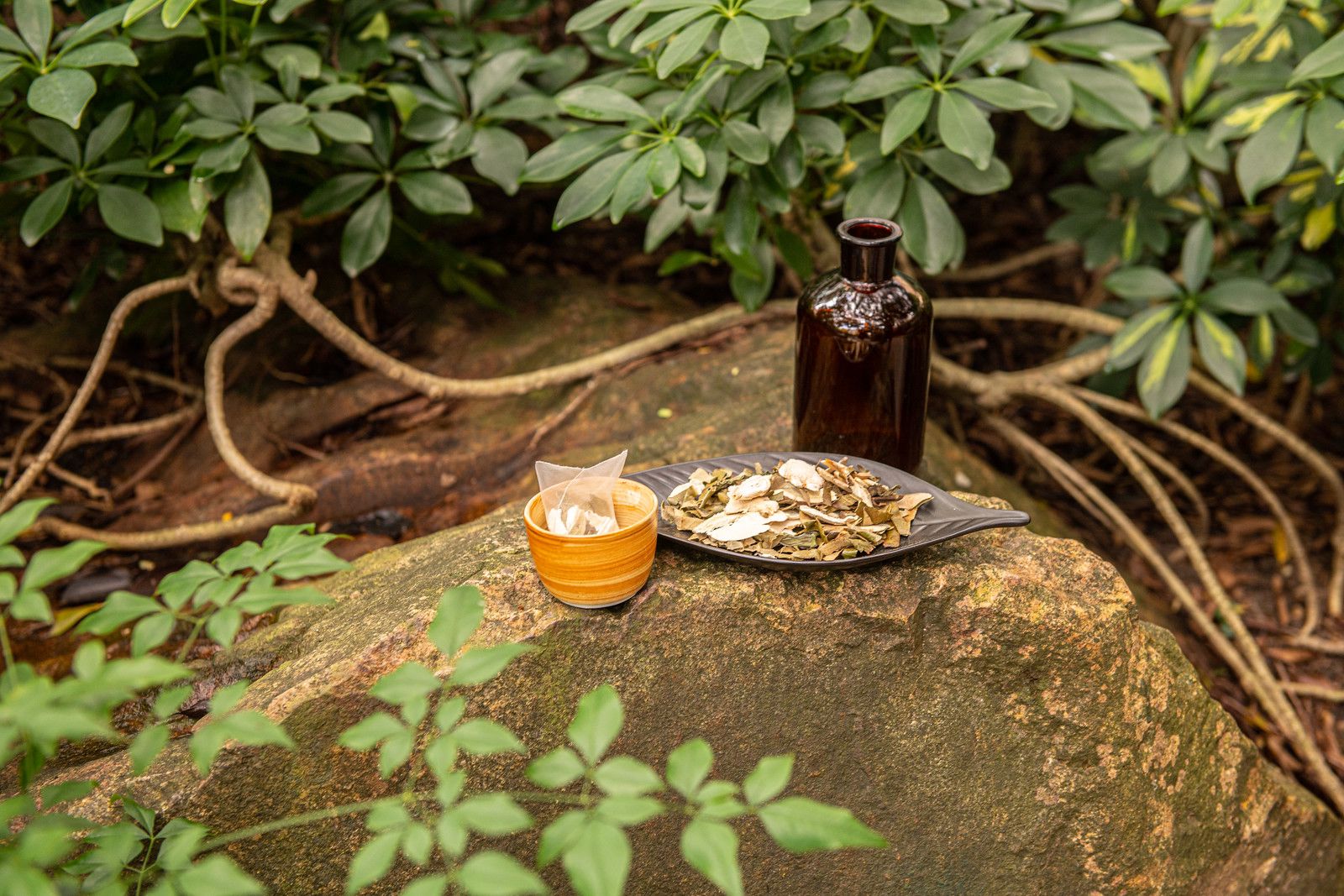 WhatsApp_Image_2024-09-05_at_10.06.44_AM.jpg?v=1725896571